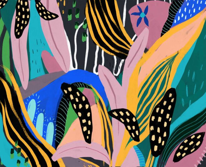 Anna Manolatos - The Illustration Room