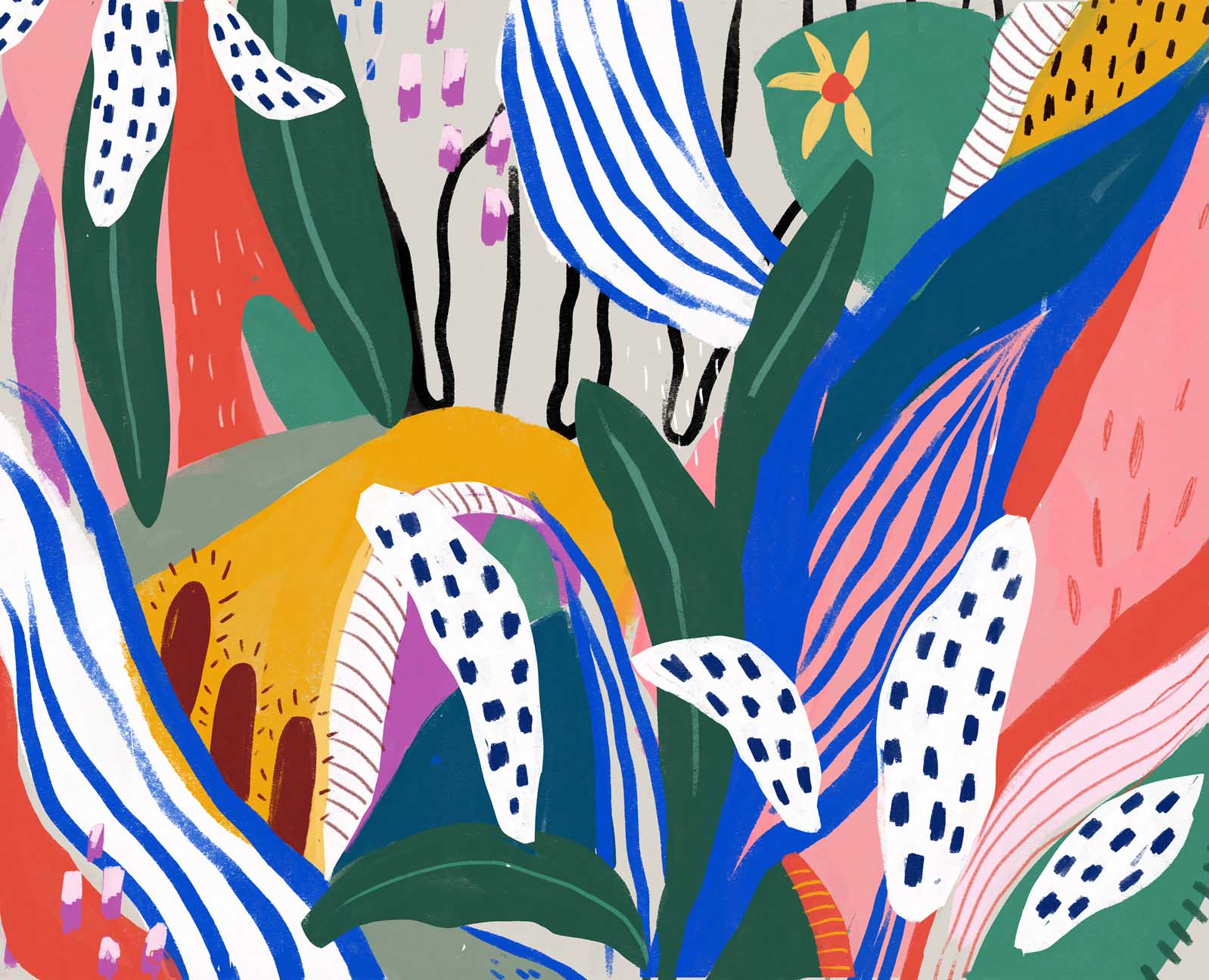 Anna Manolatos - The Illustration Room