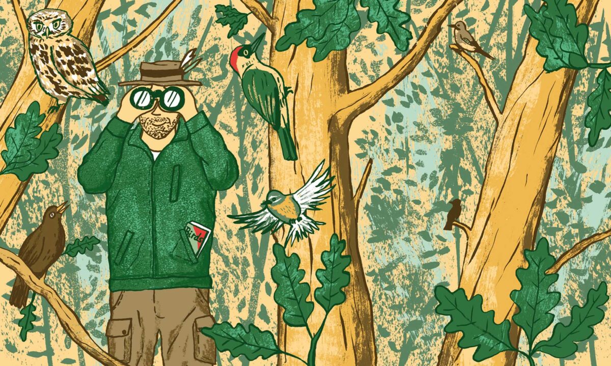 Tom Jay - The Illustration Room